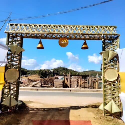 45+ Jungle Birthday Party Decorations to Create a Safari Experience